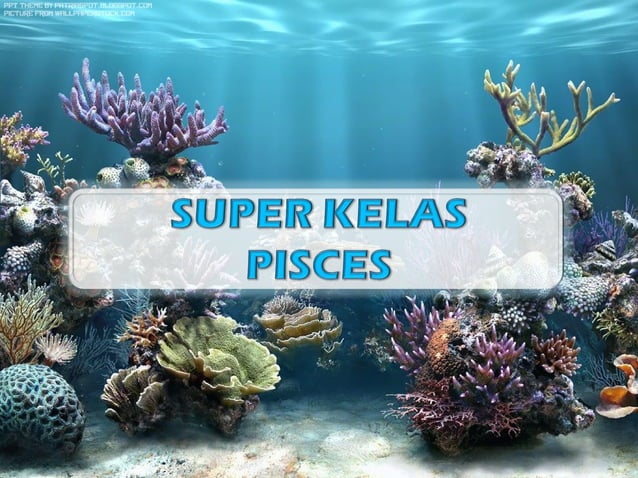 Pisces Class | PPT