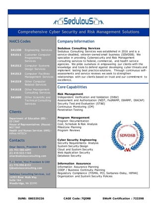 Sedulous Consulting Services Capabilities | PDF