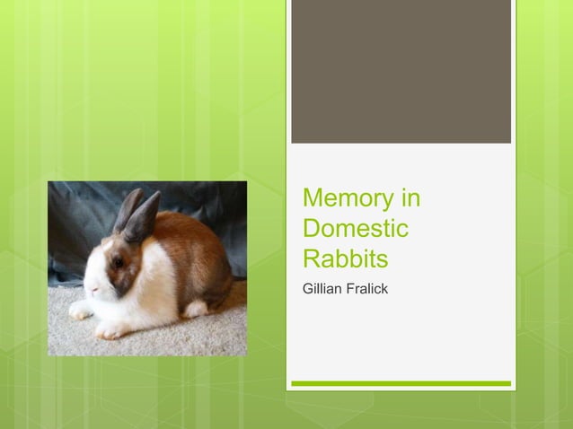 Memory in Domestic Rabbits 1 | PPTX | Biological Sciences | Science