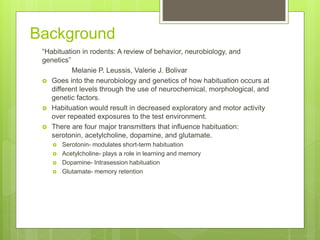 Memory in Domestic Rabbits 1 | PPTX
