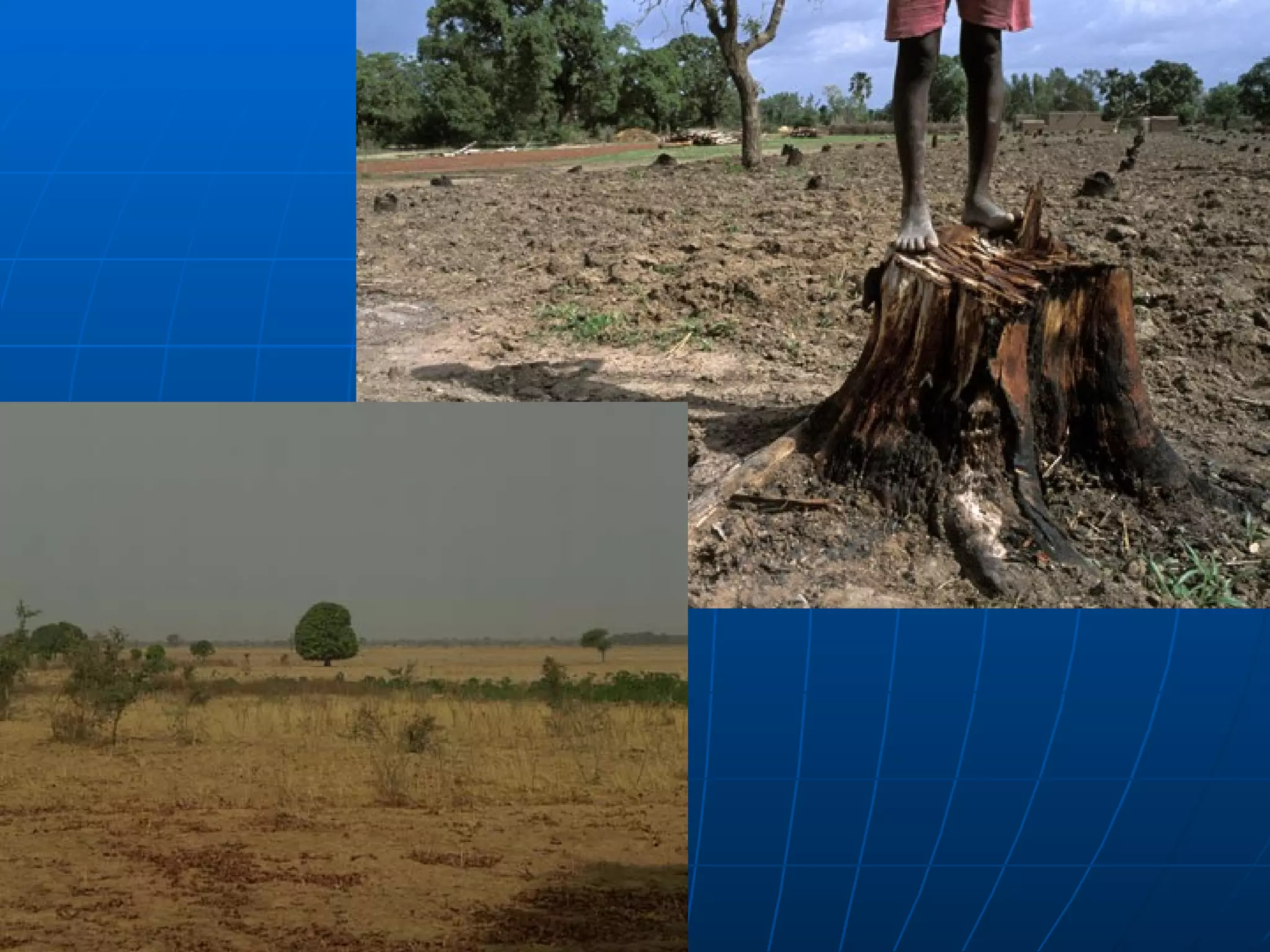 18.3 - Africa Human Environment | PPT