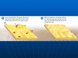 18.3 - Africa Human Environment | PPT