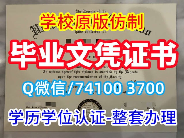 UT Degree certificate | PDF | Undergraduate Education | College Education