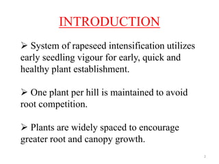 1830 - Increasing productivity of rapeseed through the practice of ...