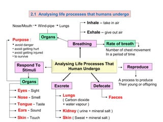 18303479 mind-map-science-upsr-year-4 | PPT