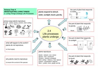 18303479 mind-map-science-upsr-year-4 | PPT
