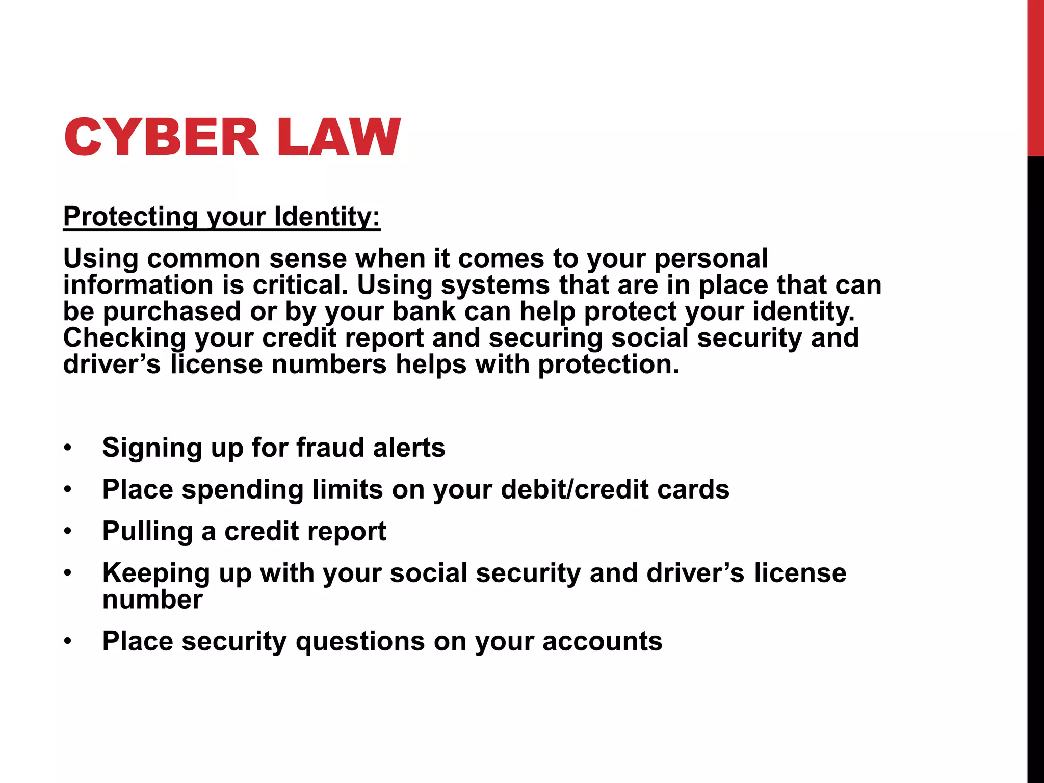 Cyber Law (Identity Theft) | PPTX