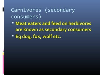 ECOSYSTEM | PPT