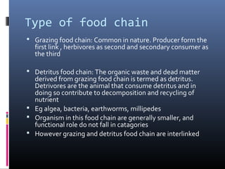 ECOSYSTEM | PPT