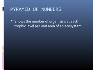ECOSYSTEM | PPT