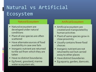 ECOSYSTEM | PPT