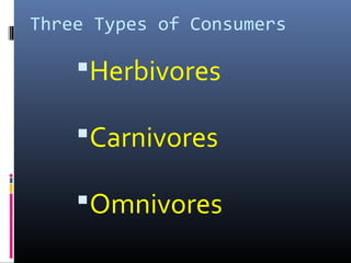 ECOSYSTEM | PPT