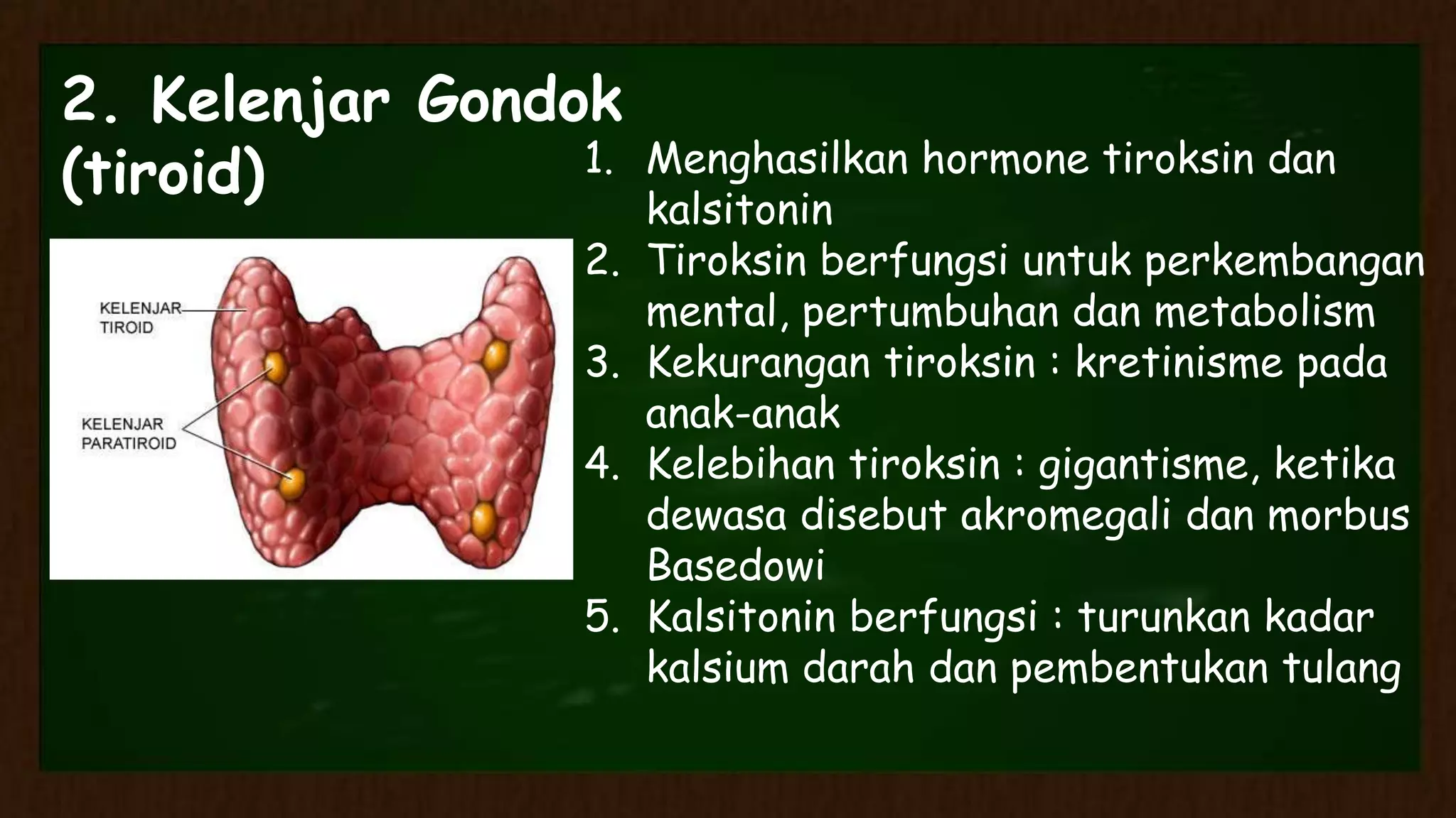 183424798-SISTEM-HORMON-ppt - Copy.ppt