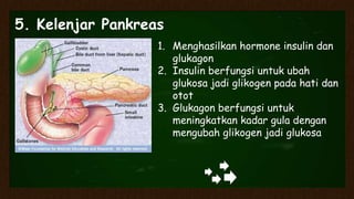 183424798-SISTEM-HORMON-ppt - Copy.ppt