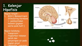 183424798-SISTEM-HORMON-ppt - Copy.ppt