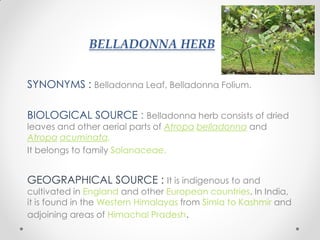 BELLADONA | PDF