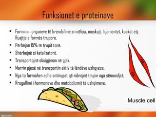 Proteinat dhe Vitaminat.roli i tyre ne jeten e perditshme. | PPT