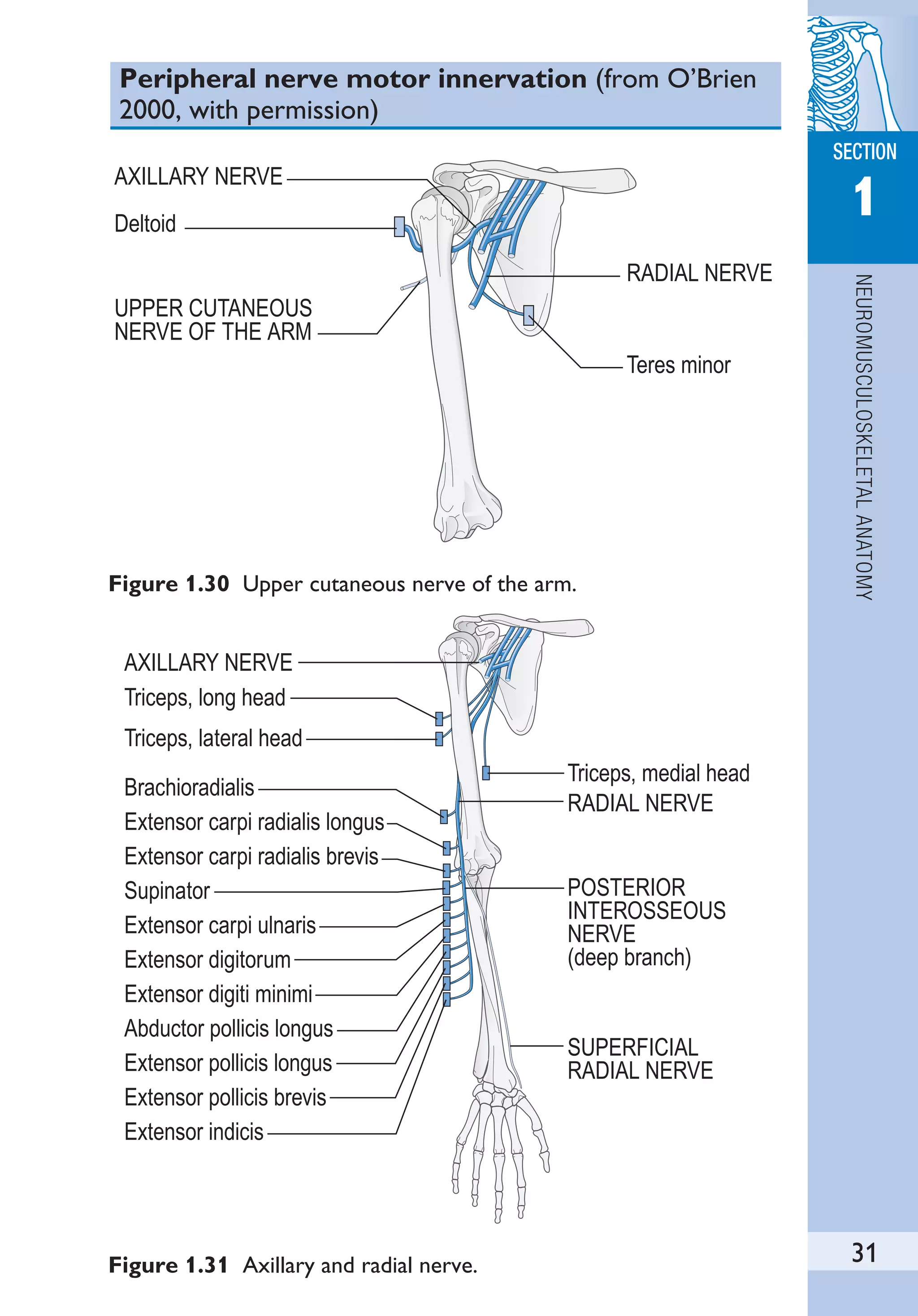 184- The Physiotherapist's Pocket Book.pdf