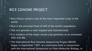 Genome projects and their Contributions | PPT