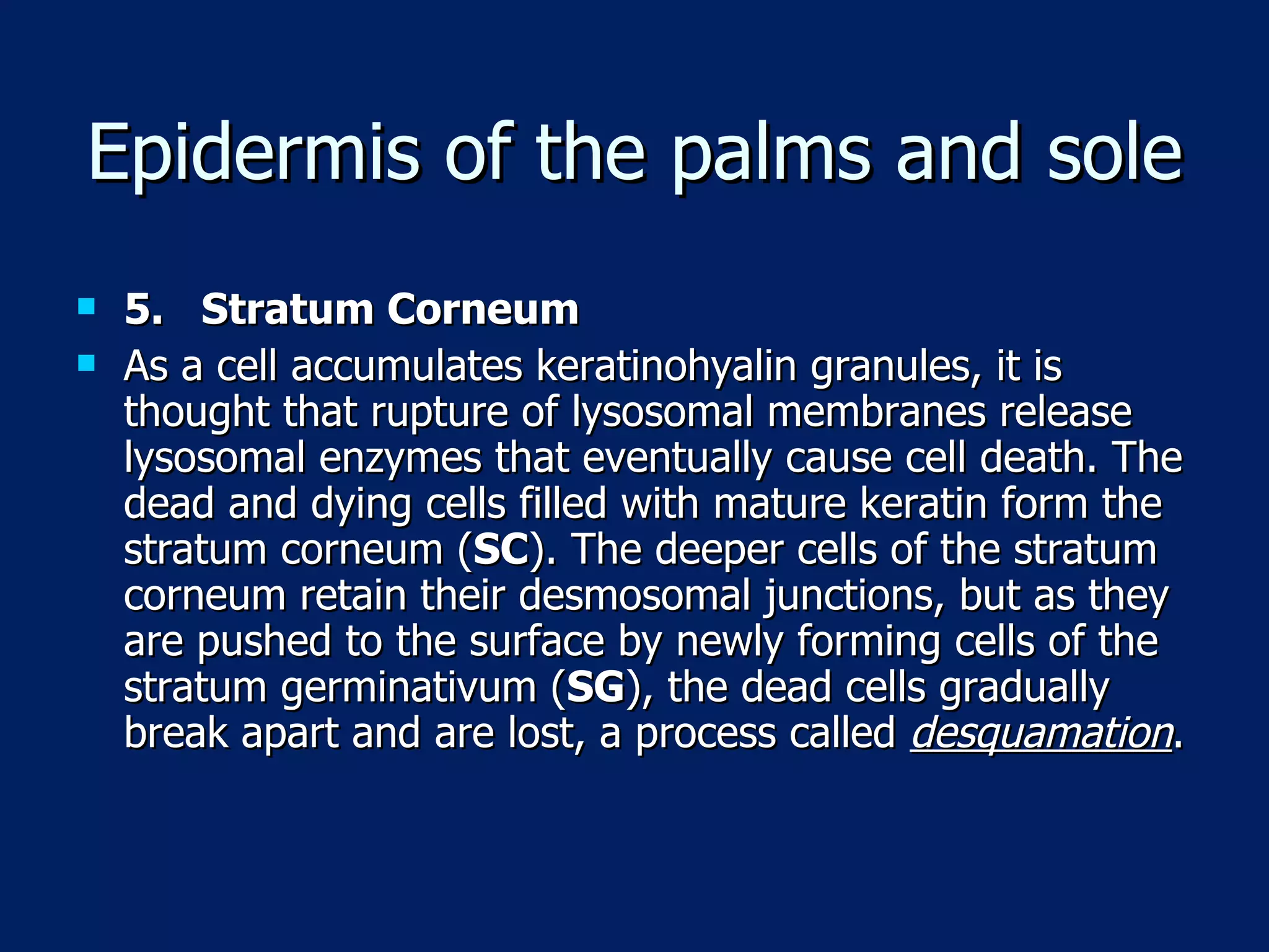 184715 integuments | PPT