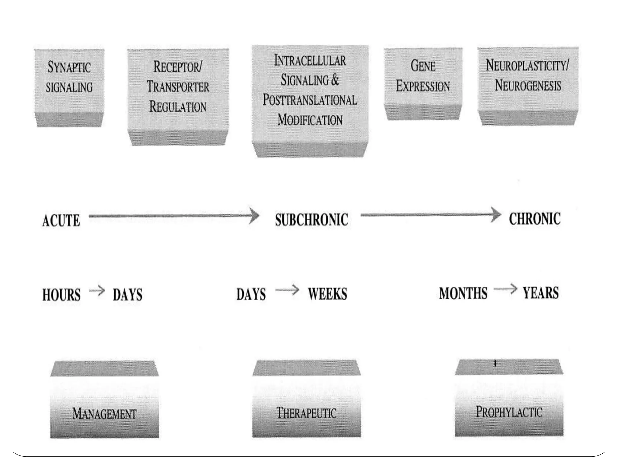 MOOD STABILIZER | PPTX