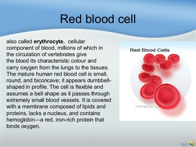1854964 635072095191071250