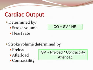 Approach to Shock and Hemodynamics | PPT