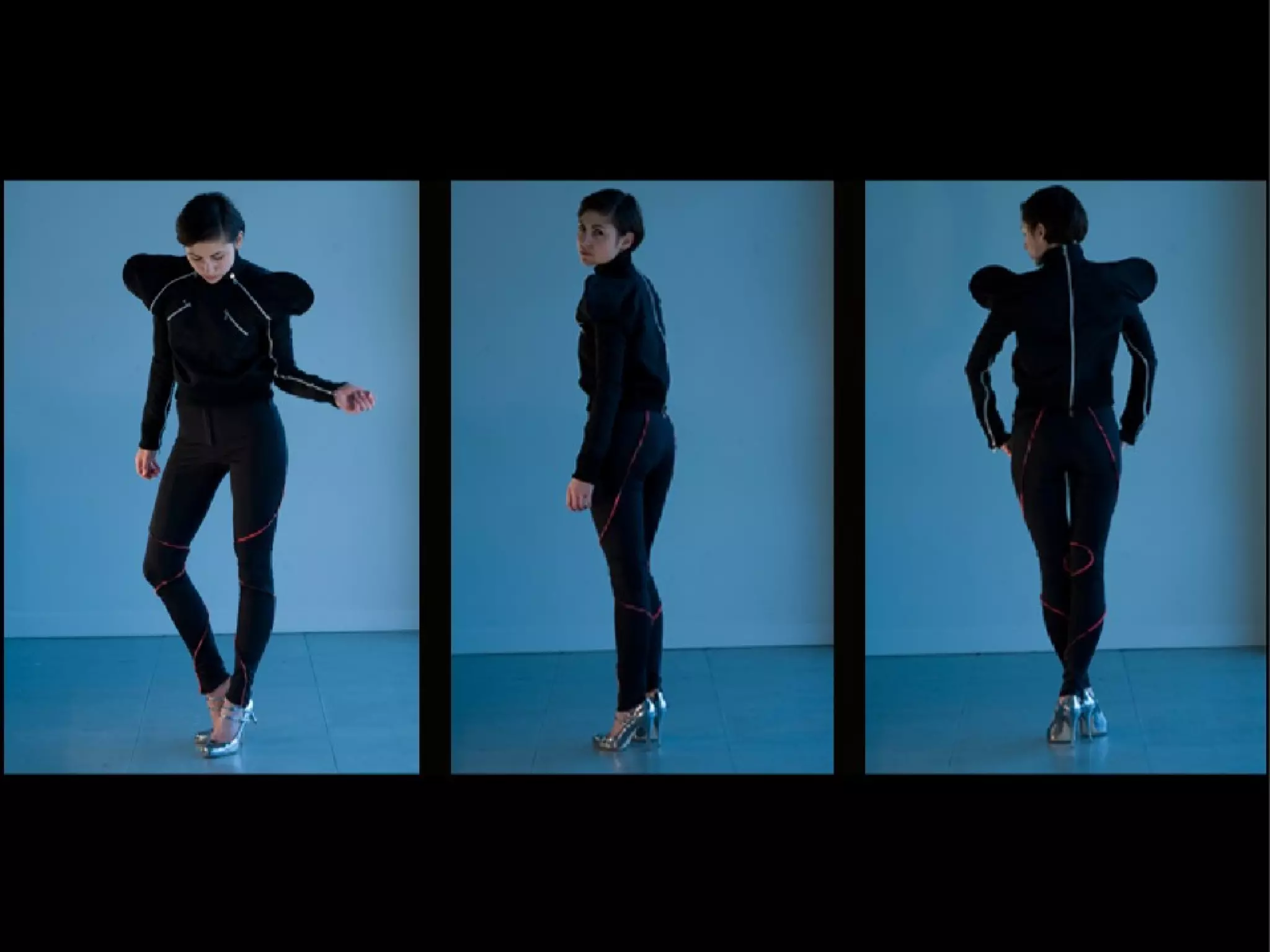 Metamorphosis Development | PPT