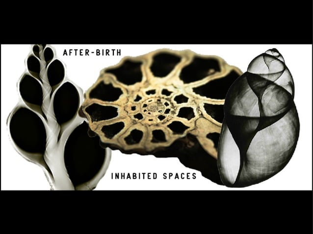 Metamorphosis Concept and Designs | PPT