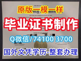 Villanova Bachelor Diploma | PDF