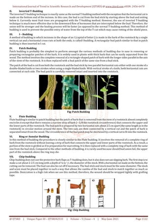 Methods of Plant Propagation Sexual and Vegetative | PDF