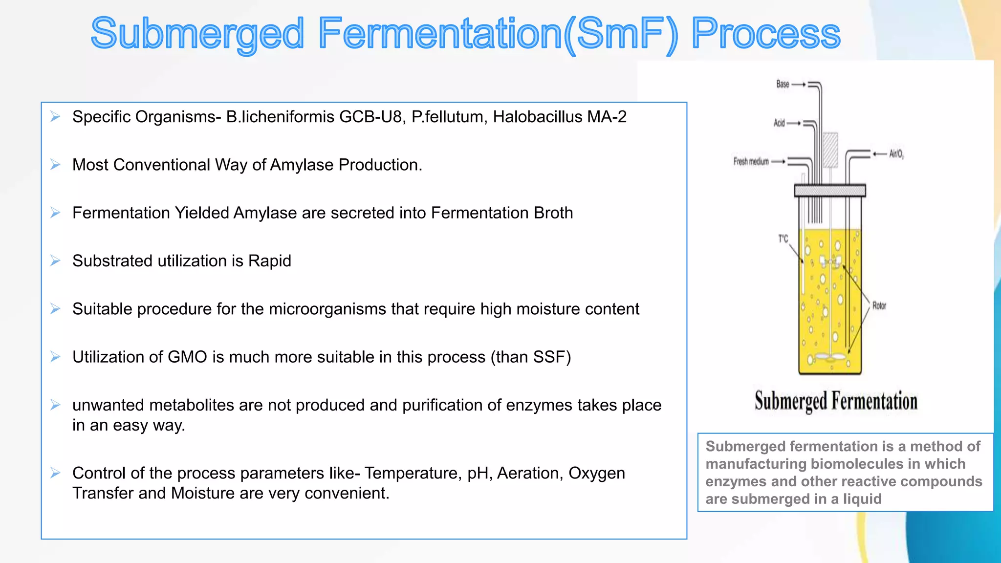 Alpha Amylase Production Process | PPT