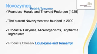 Alpha Amylase Production Process | PPTX | Chemistry | Science