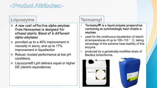 Alpha Amylase Production Process | PPTX | Chemistry | Science