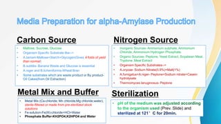 Alpha Amylase Production Process | PPTX | Chemistry | Science