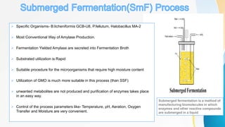 Alpha Amylase Production Process | PPTX | Chemistry | Science
