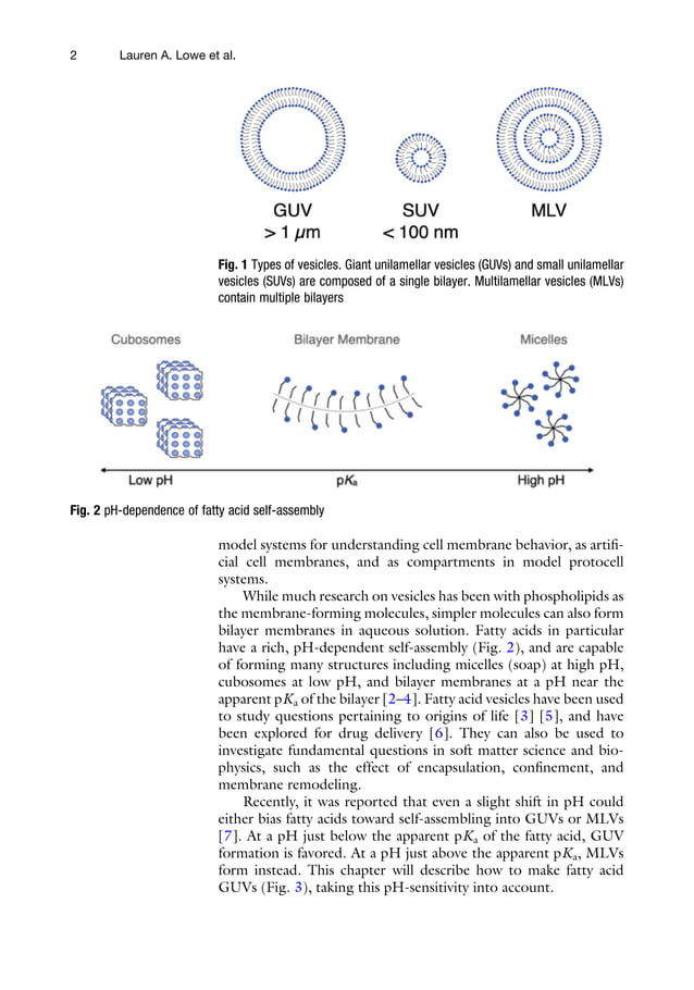 Membrane Lipids Methods And Protocols Charles G Cranfield | PDF