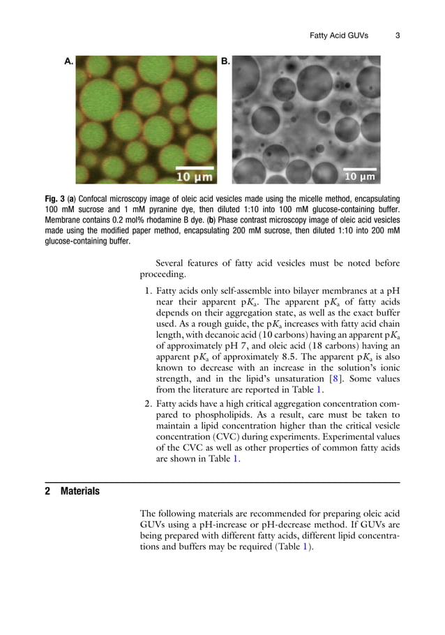 Membrane Lipids Methods And Protocols Charles G Cranfield | PDF