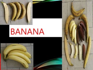 Banana.ppt