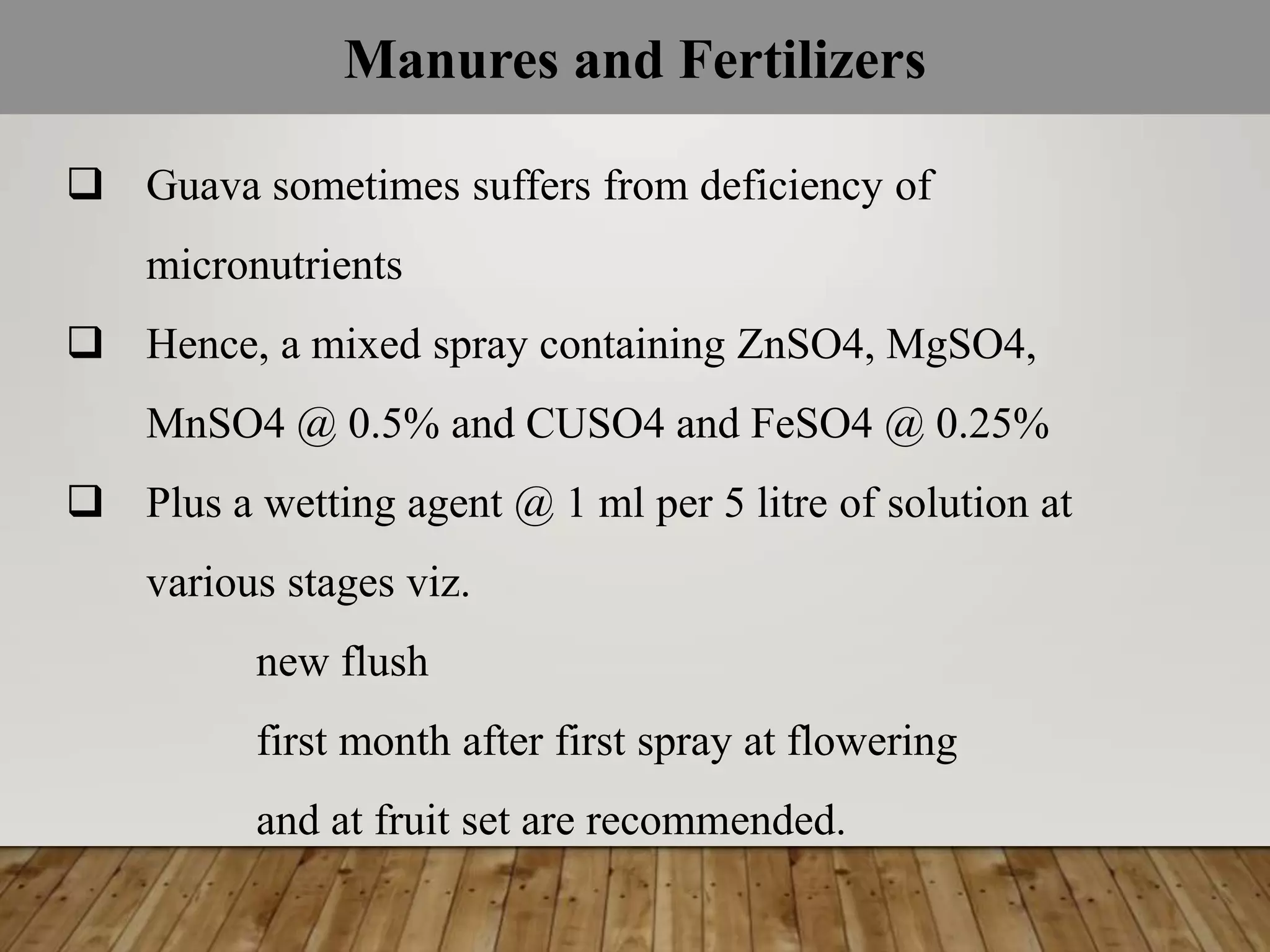 Guava.ppt