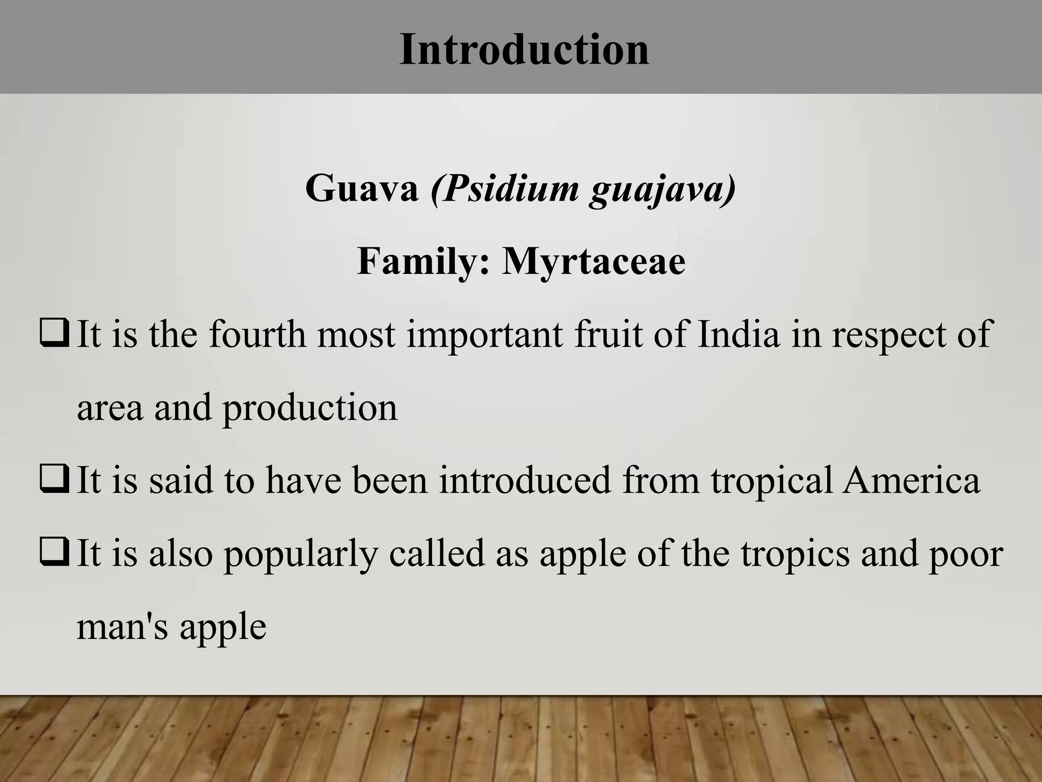 Guava.ppt