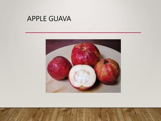 Guava.ppt