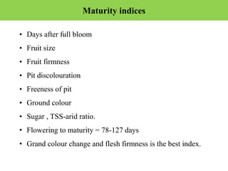 Peach_Ppt.ppt