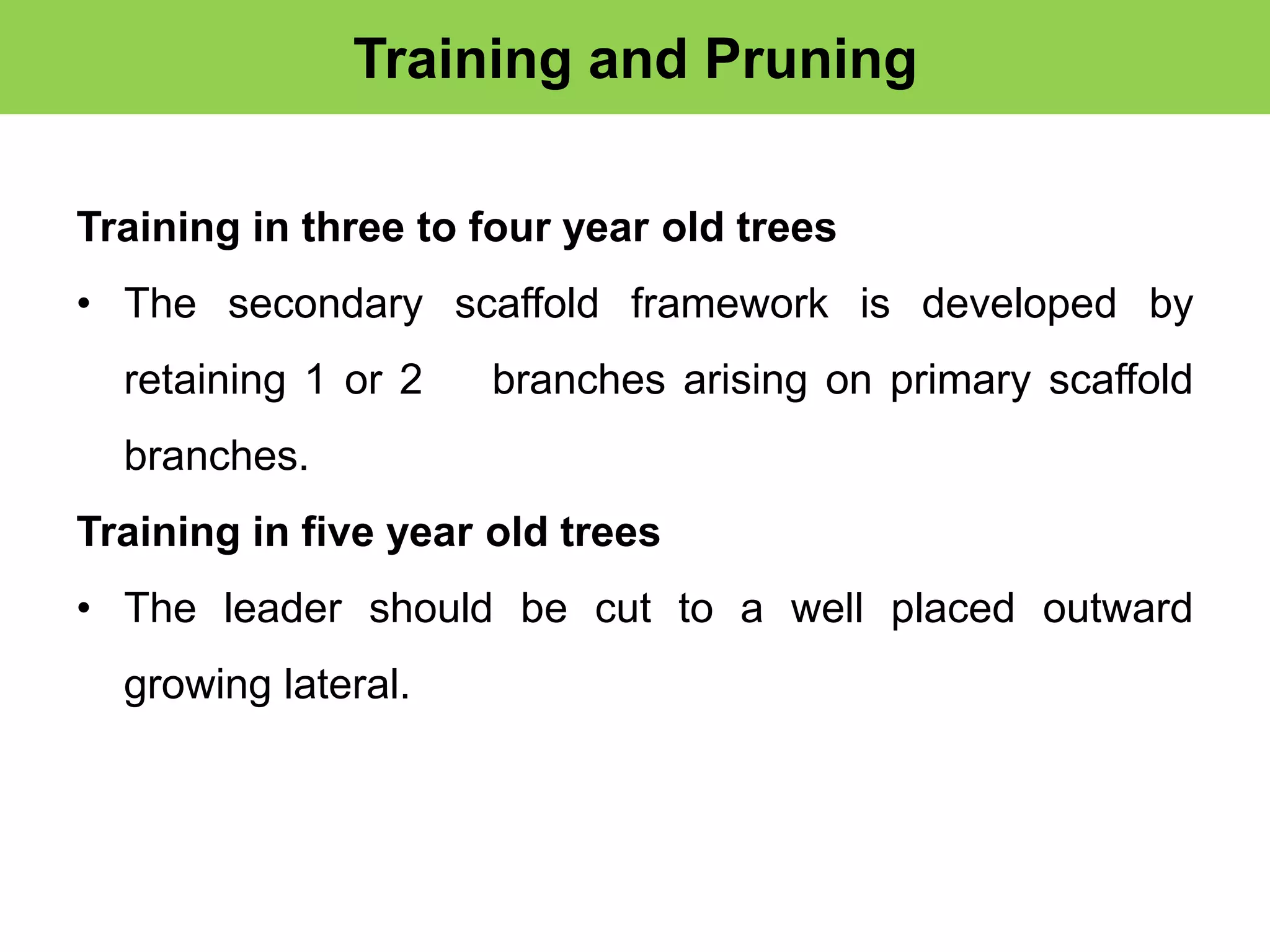 Pear_Ppt.ppt