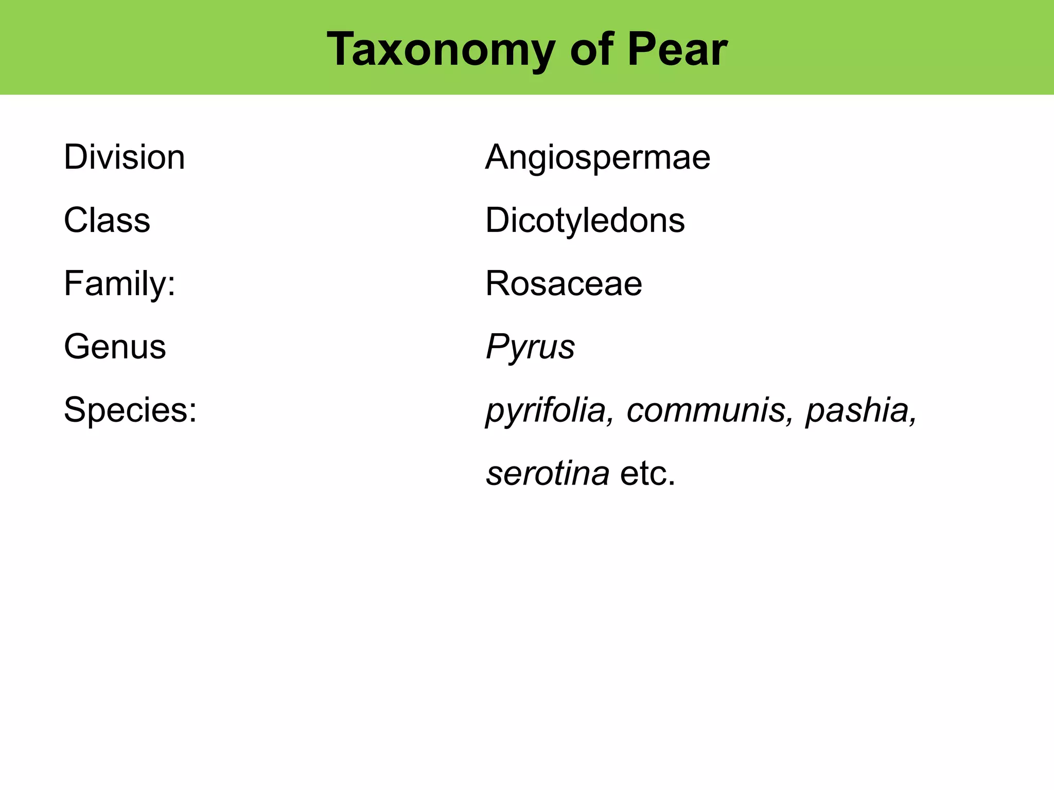 Pear_Ppt.ppt