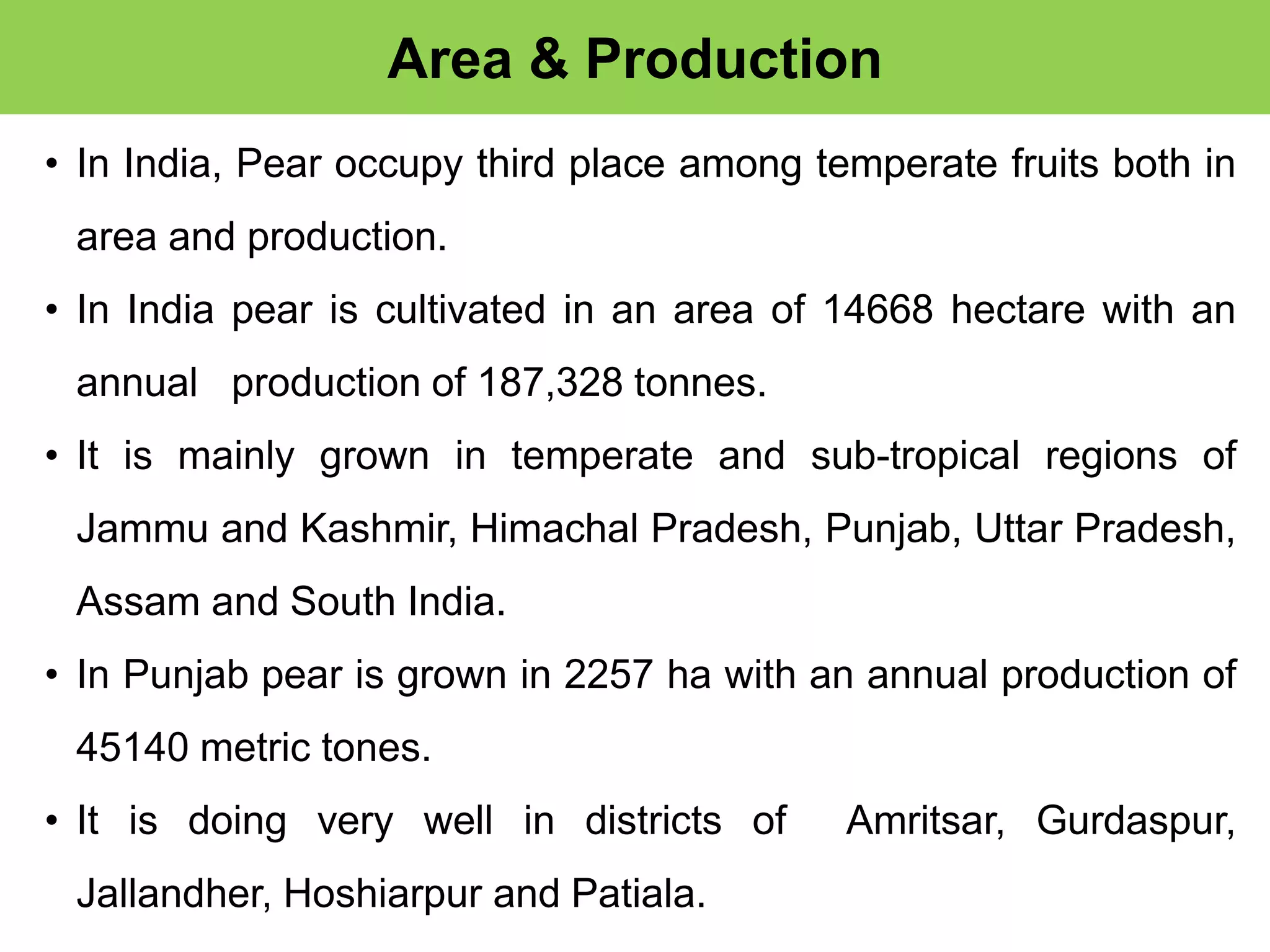 Pear_Ppt.ppt