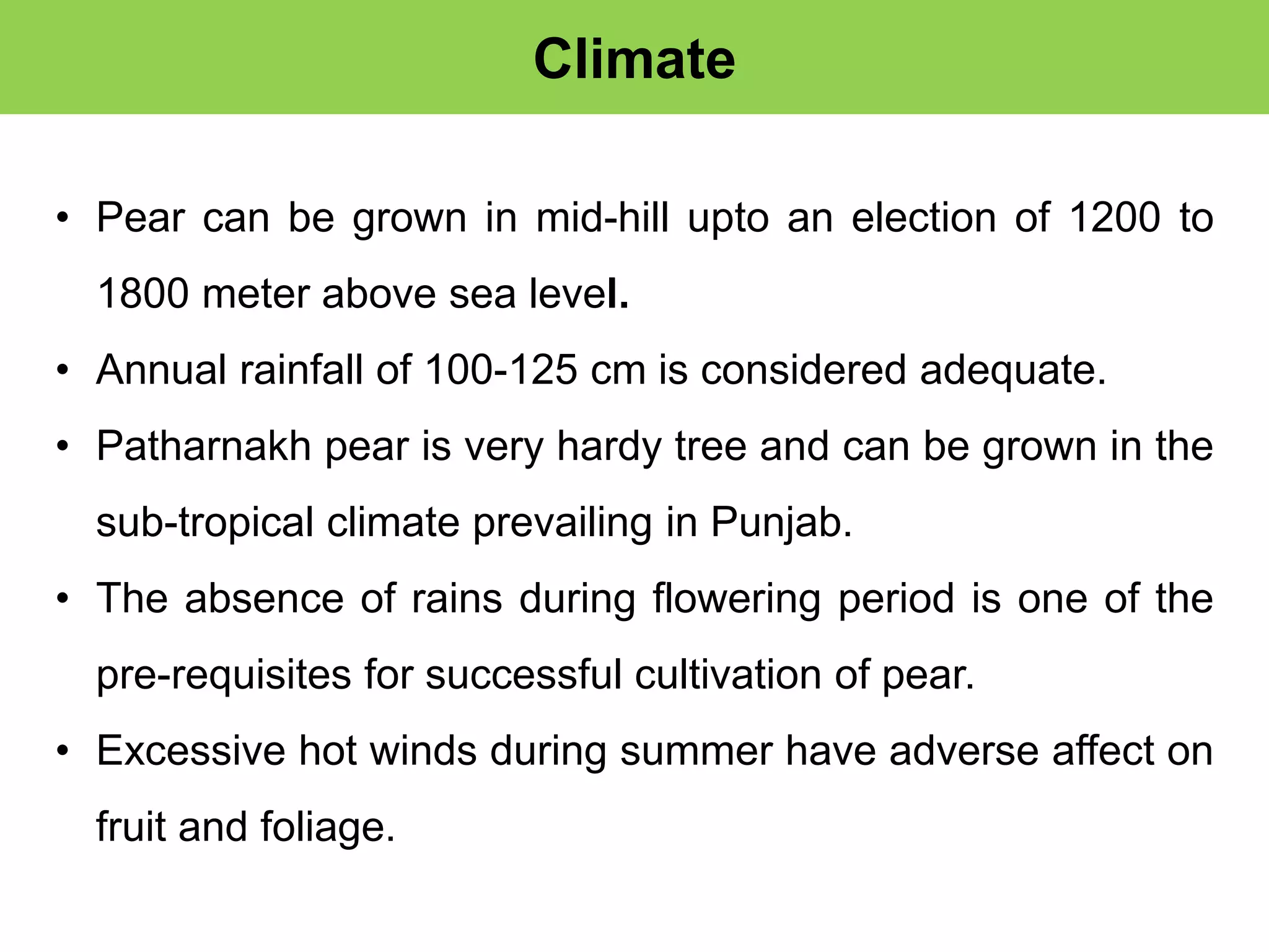 Pear_Ppt.ppt