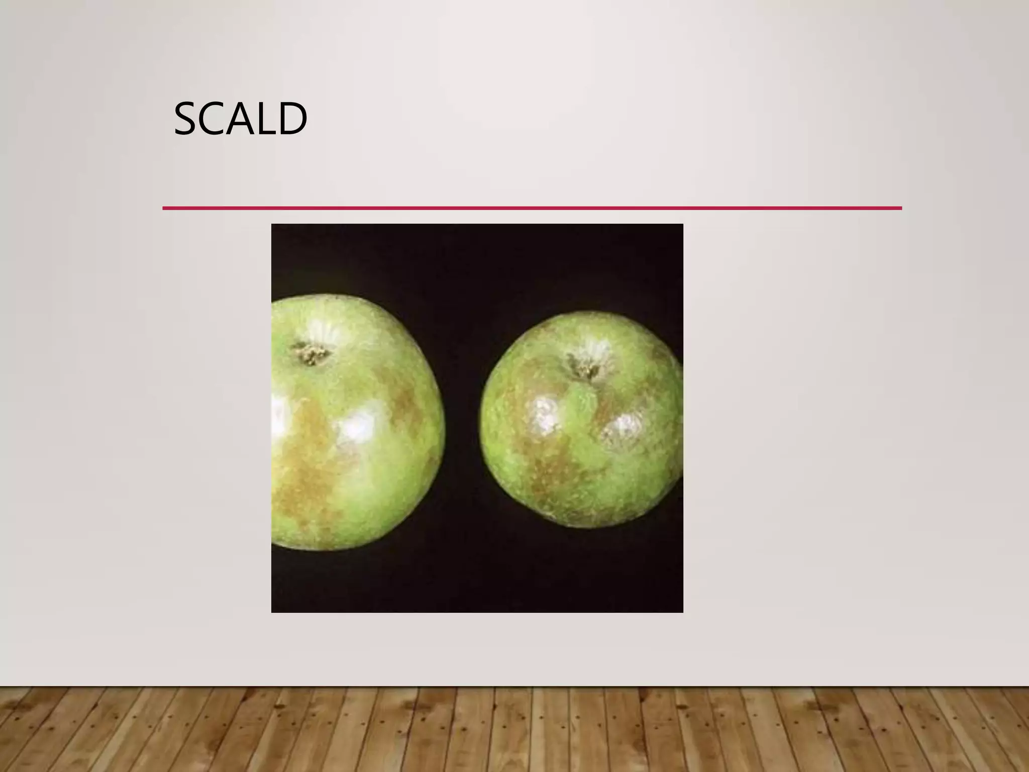 Temperate fruit growing..ppt | Gardening | Home & Garden