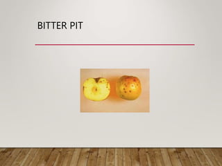 Temperate fruit growing..ppt