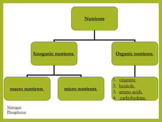 Tissue culture media preparation.ppt